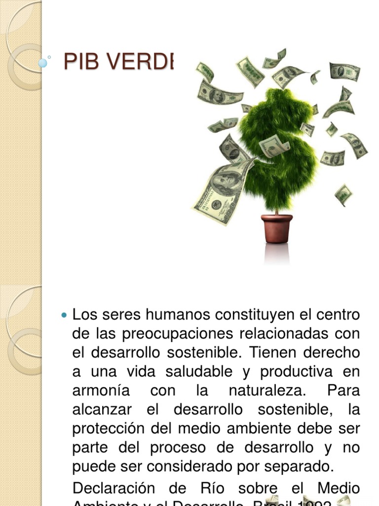 Pib Verde Definitivo | PDF | Producto Interno Bruto | Tecnología Ambiental