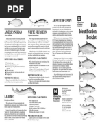Function of Fish Nares Explained | PDF | Olfaction | Fish
