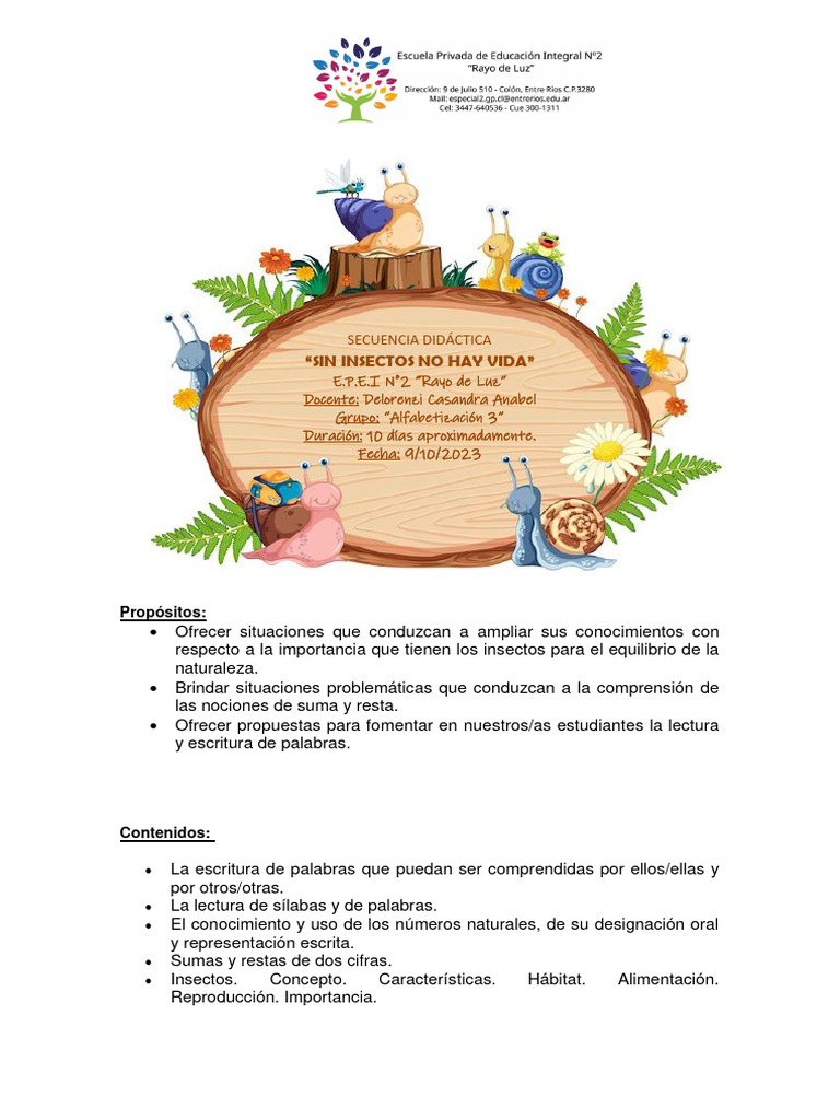 Secuencia Didáctica: Insectos y Matemáticas | PDF | Insectos | Hexapoda