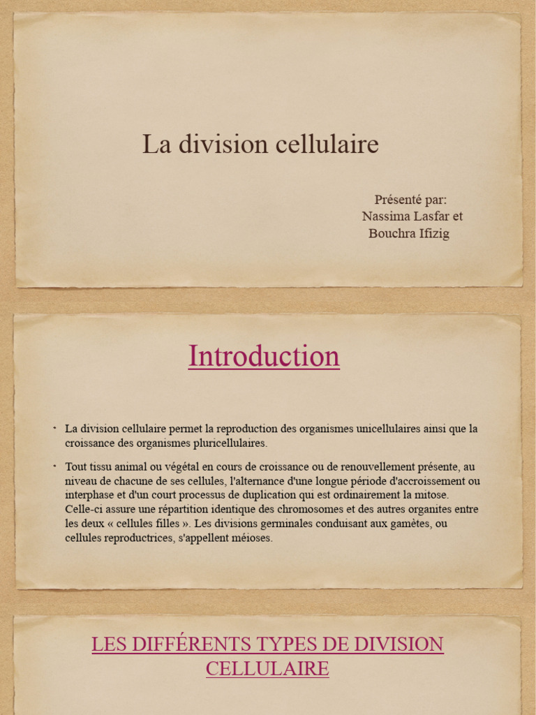 Division cellulaire : mitose et méiose | PDF | Mitose | Méiose
