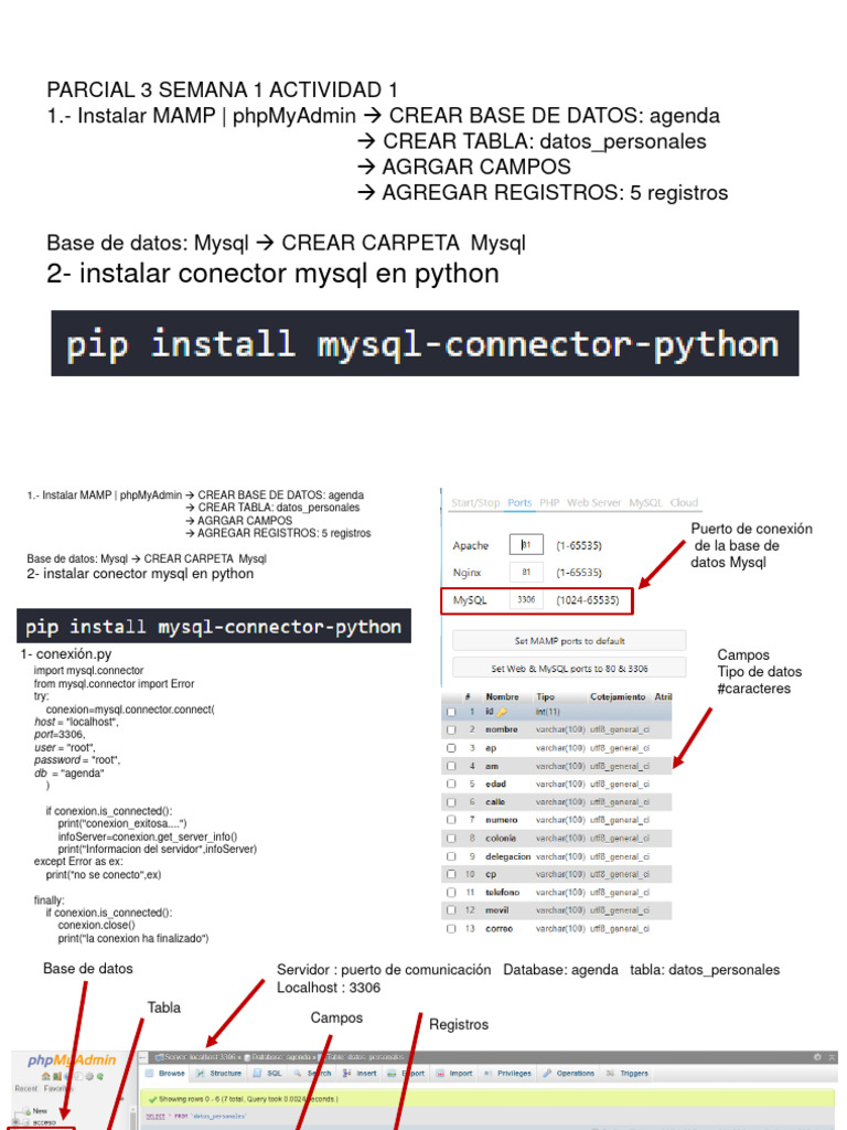 P3-S1-Actividad - 1 | PDF | Mi sql | Gestión de tecnología de la información