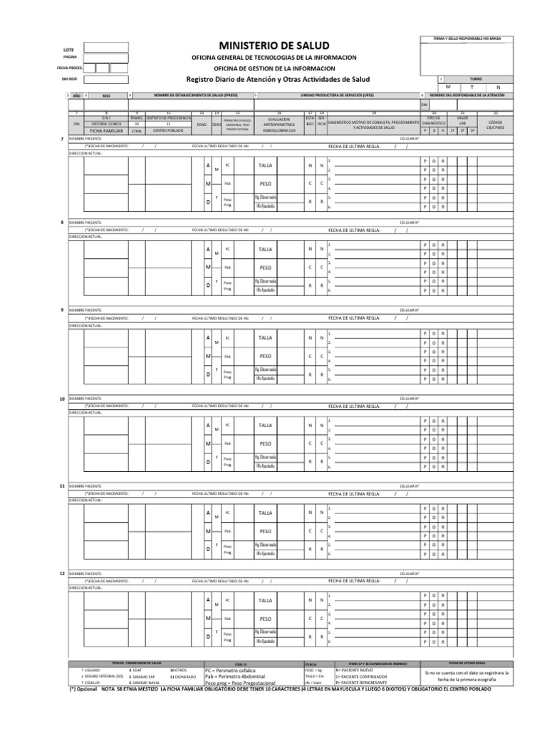 Formato His V1.0 - Angeles B Ok | PDF
