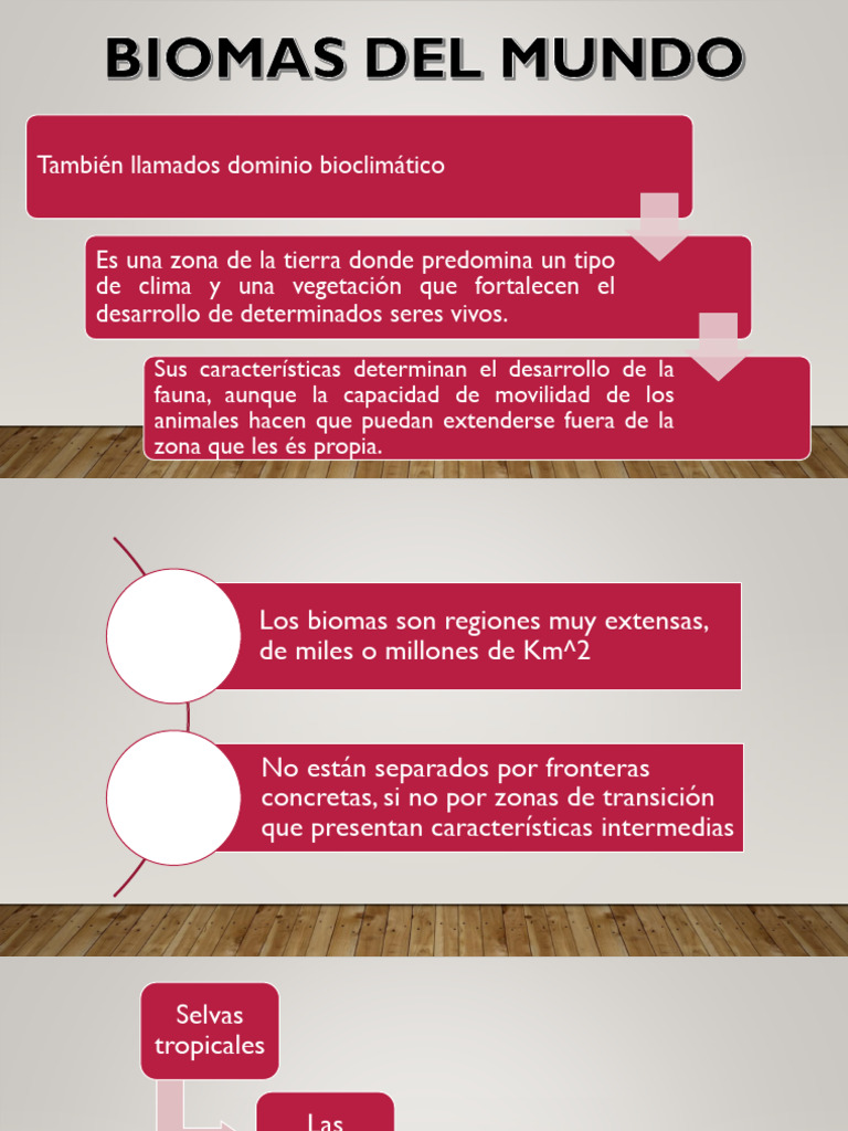 Biomas Del Mundo | PDF