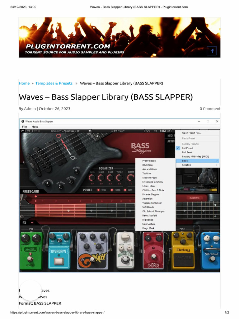 Waves - Bass Slapper Library (BASS SLAPPER) | PDF