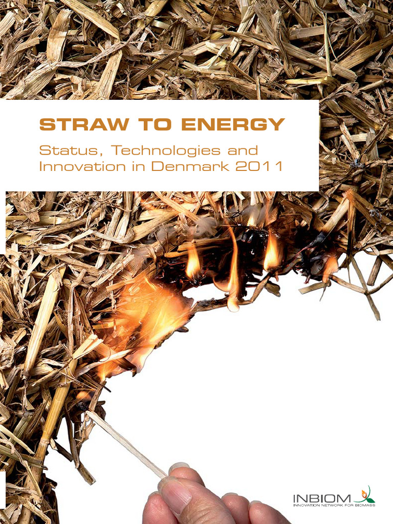 Straw To Energy | PDF | Hay | Renewable Energy