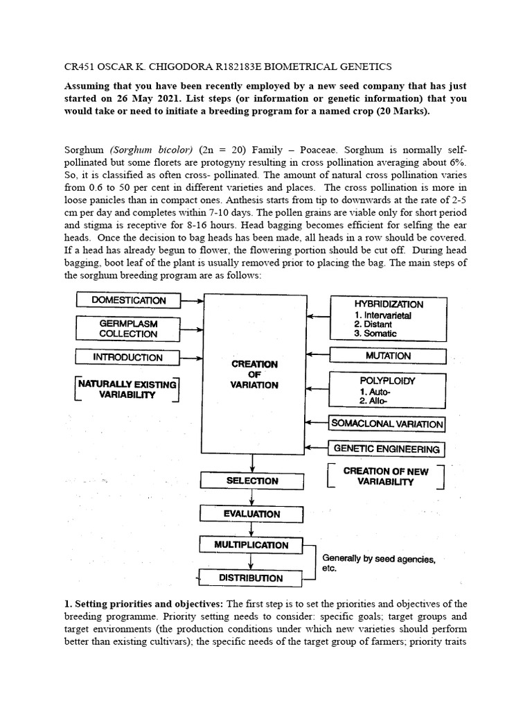 CR451 Oscar K. Chigodora R182183e Biometrical Genetics | PDF | Plant ...