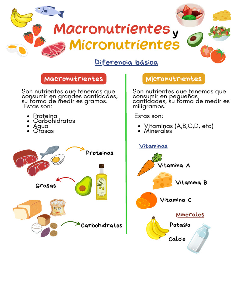 Macronutrientes y Micronutrientes Explicados | PDF