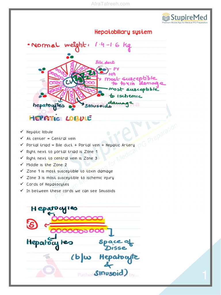 Patho - Hepatobiliary System Atf | PDF | Hepatitis | Hepatitis B