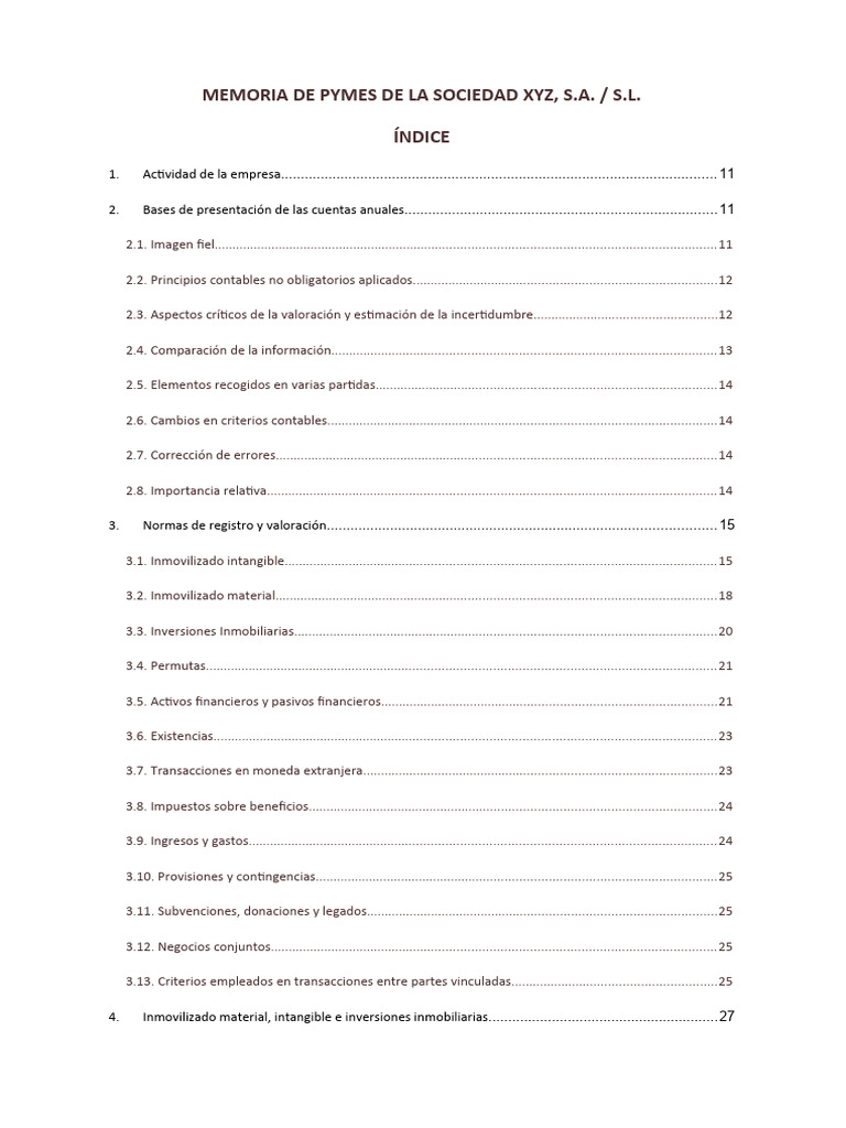 Modelo Memoria Pyme | PDF | Contabilidad | Activo intangible