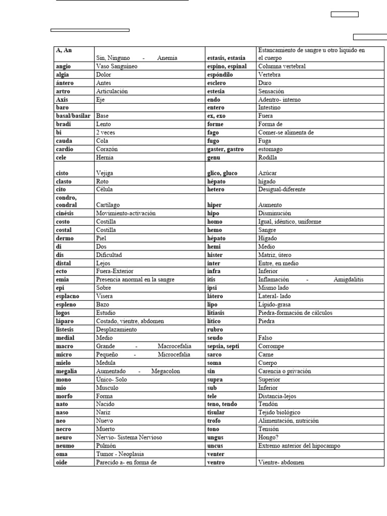 Prefijo y Sufijo | PDF | Neoplasias | Abdomen