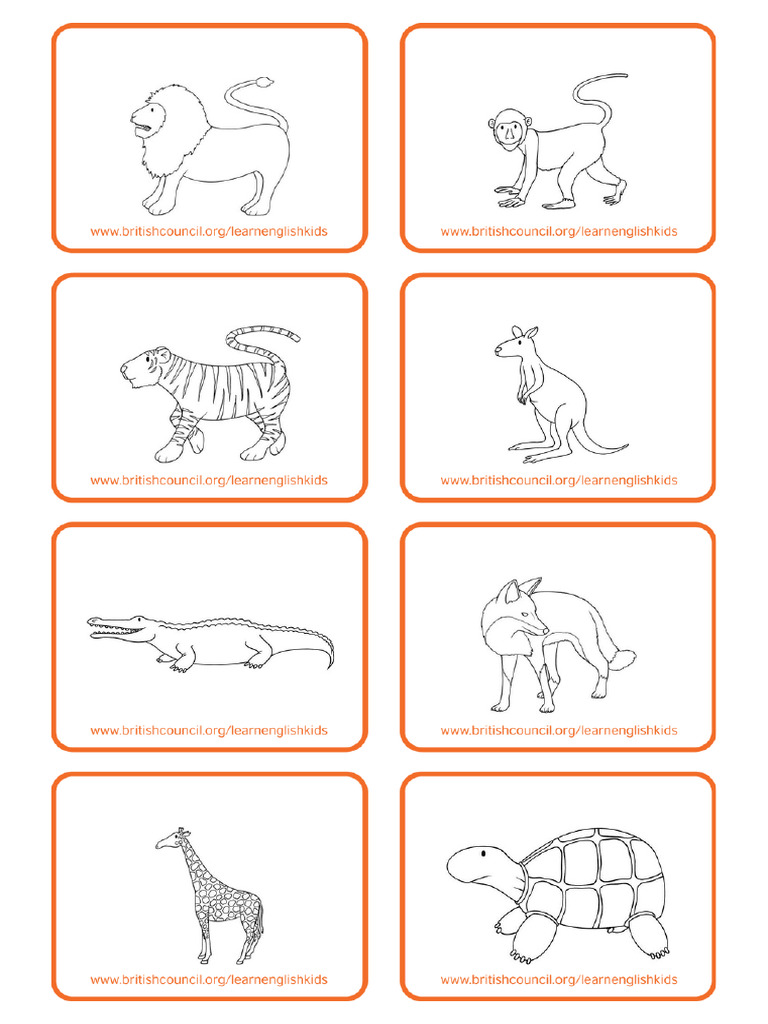 Animal Flascards | PDF