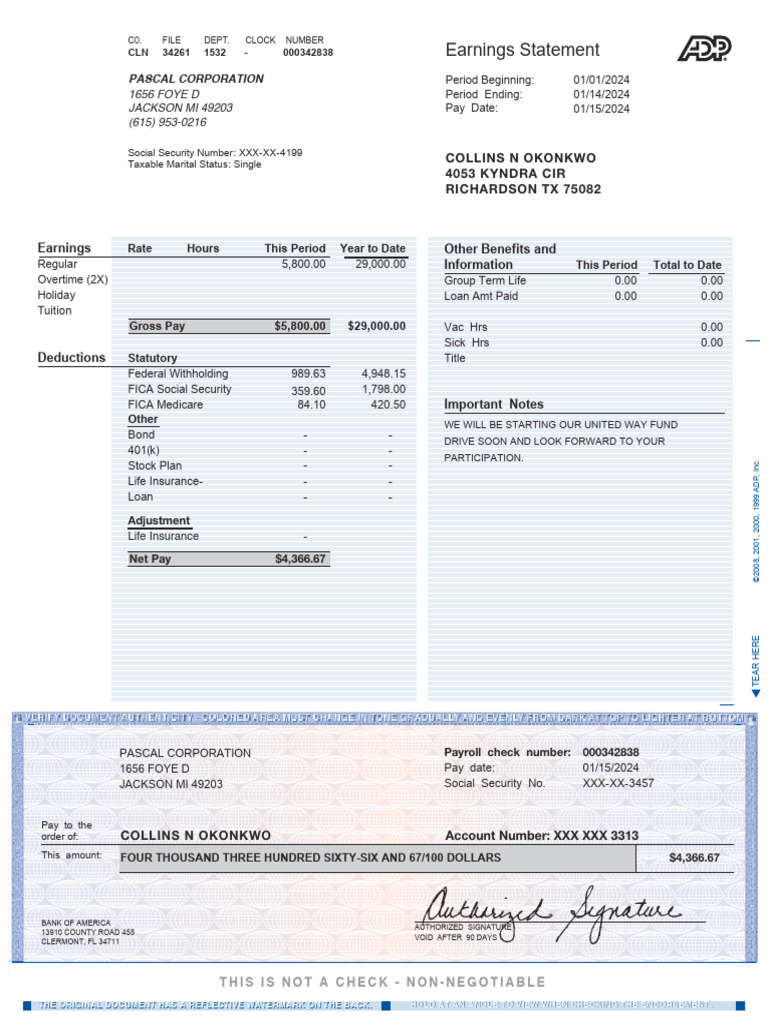 Payroll Earnings Statement Overview | PDF | Social Security (United ...