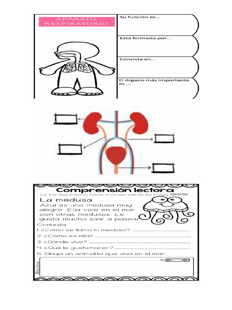 Repaso Imagenes 1ra Unidad 2024 - 062529 | PDF