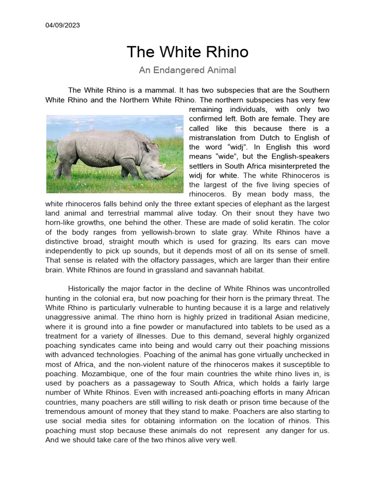 The White Rhino | PDF | Rhinoceros | Biodiversity