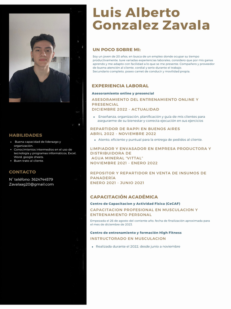 Curriculum Vitae - Luis Alberto Gonzalez Zavala | PDF | Crecimiento personal y profesional