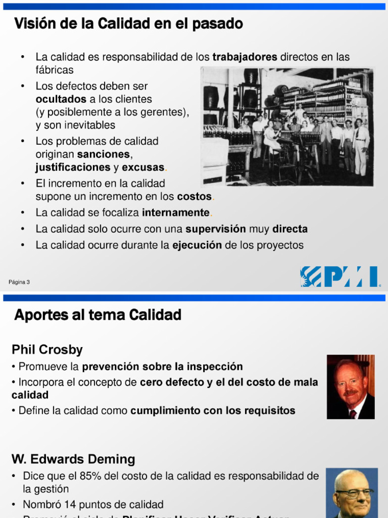 Calidad Pmi Pdf