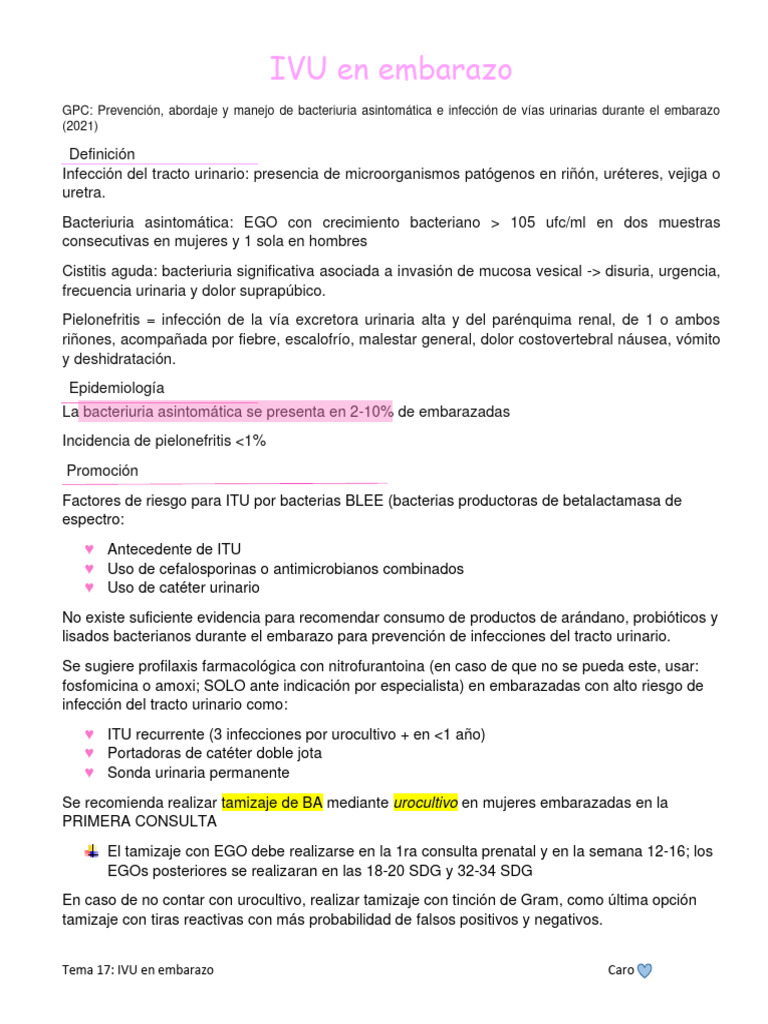 IVU en Embarazo: Prevención y Manejo | PDF | Infección del tracto ...