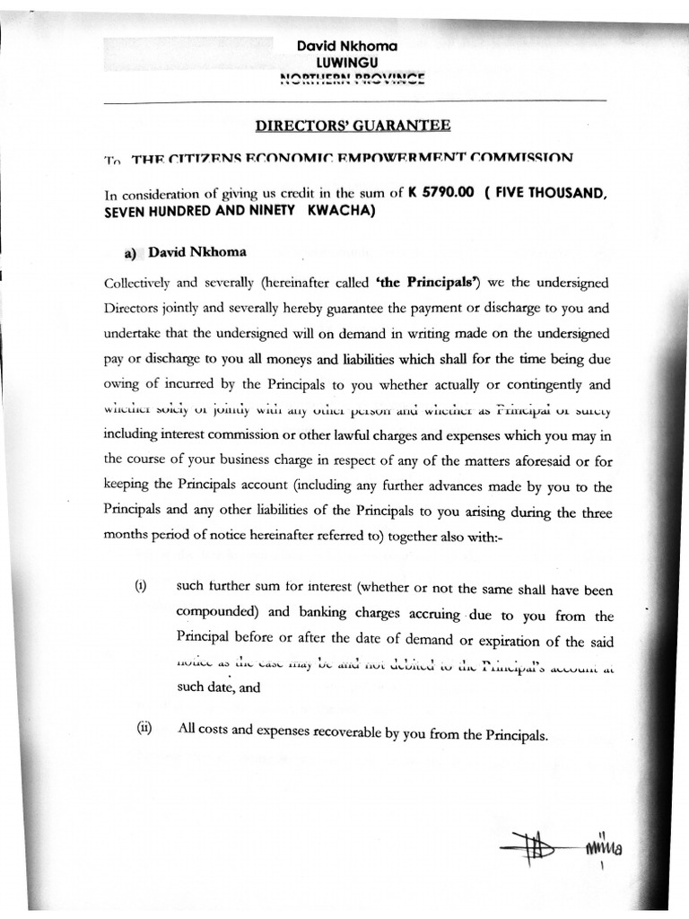 Directors Guarantee | PDF