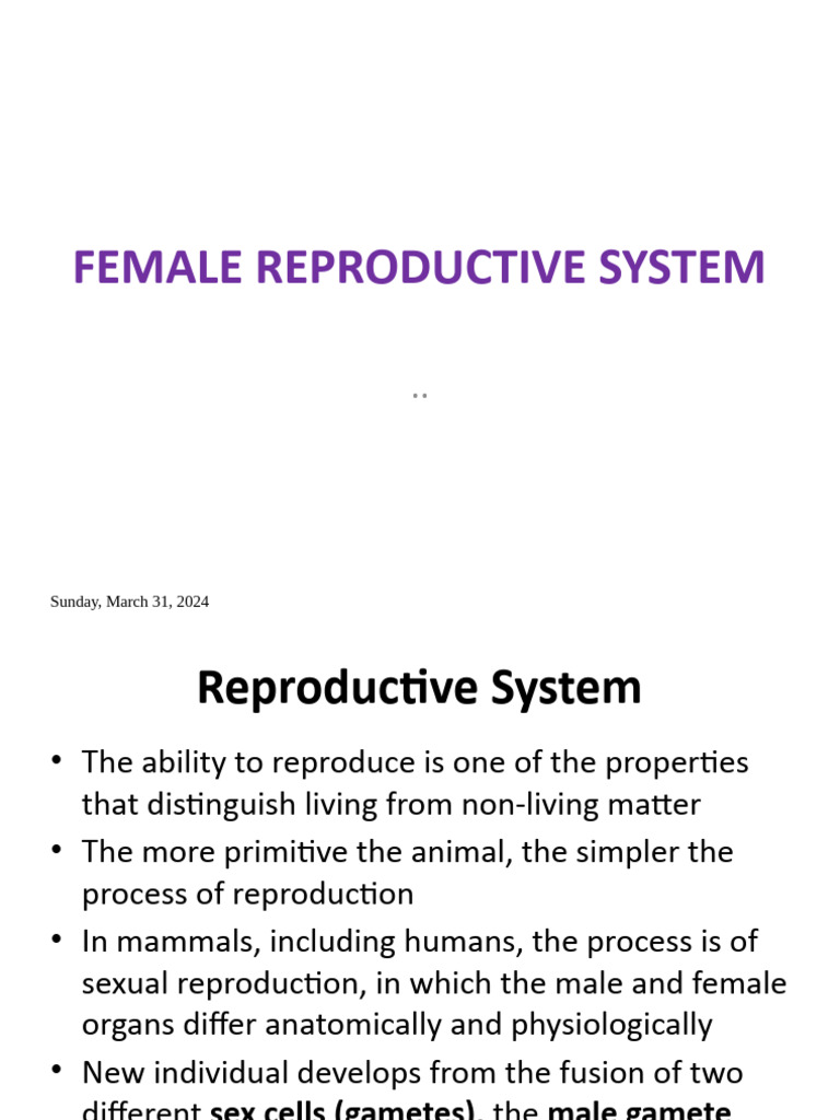A. Female Reproductive System | PDF | Uterus | Vagina