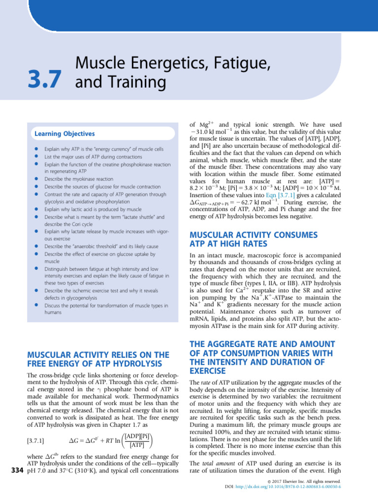 Ch3 - Muscle Energetics Fatigue and Training | PDF | Glycolysis ...