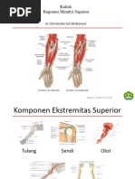 Prime Mover Muscles Guide | PDF | Soft Tissue | Joints