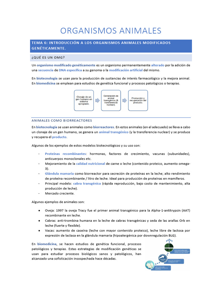 OMG Animal | PDF | Mutación | Gene