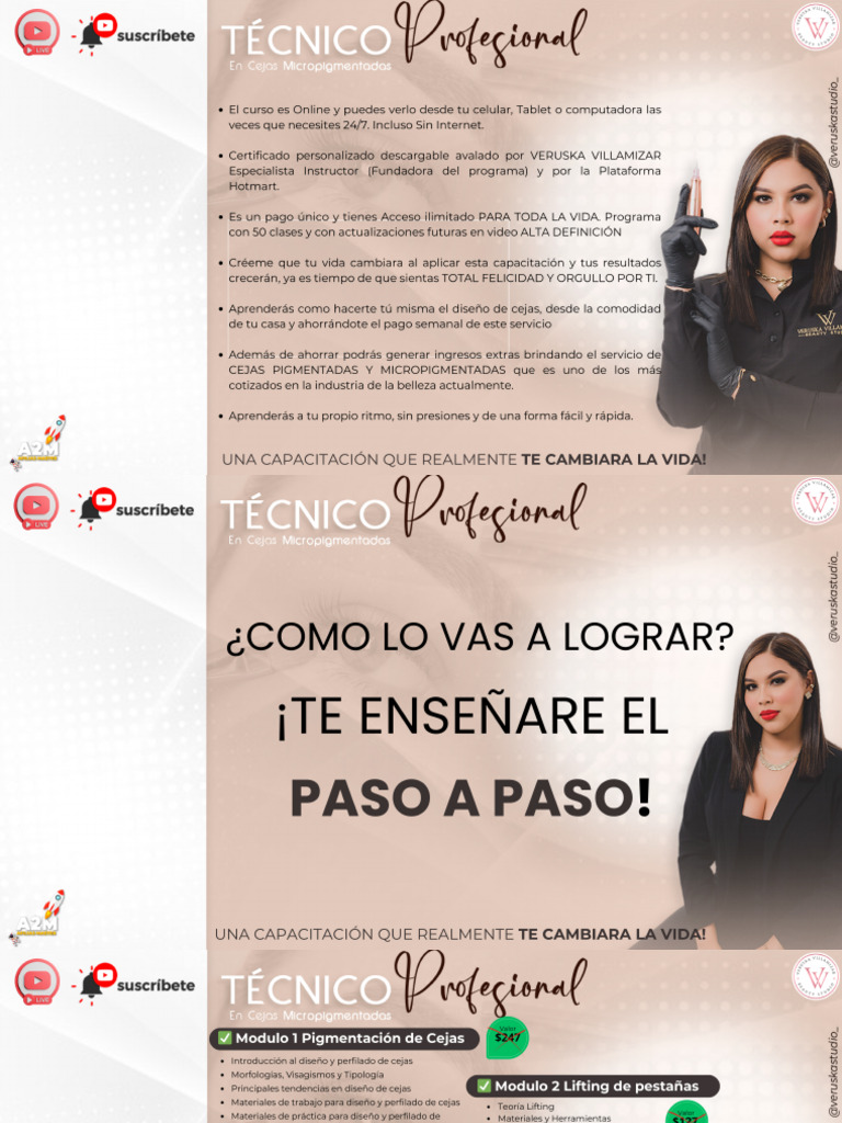 Técnico Profesional | PDF