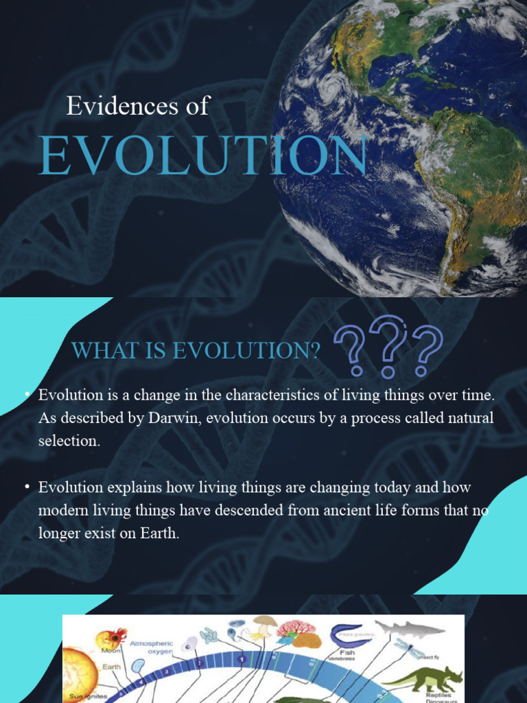 Evidence of Evolution | PDF | Homology (Biology) | Evolution