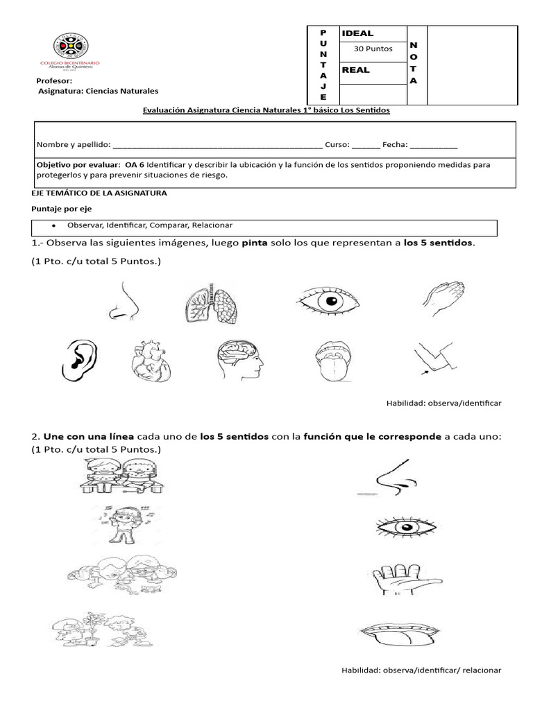 1°-Básico-Cs.-LOS SENTIDOS.01-04 | PDF