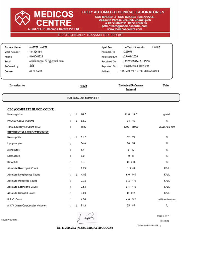 Investigation Biological Reference Interval Units: Result | PDF ...