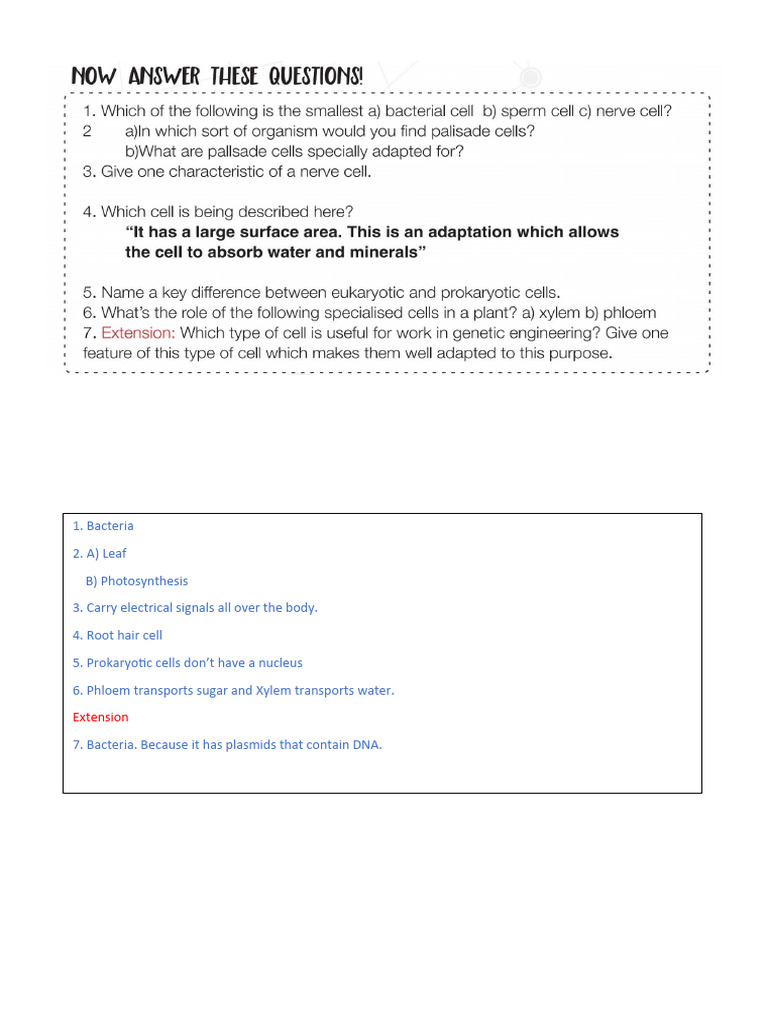 Cells GCSE Worksheet Eukaryotes and Prokaryotes Week 1 Term 1 | PDF