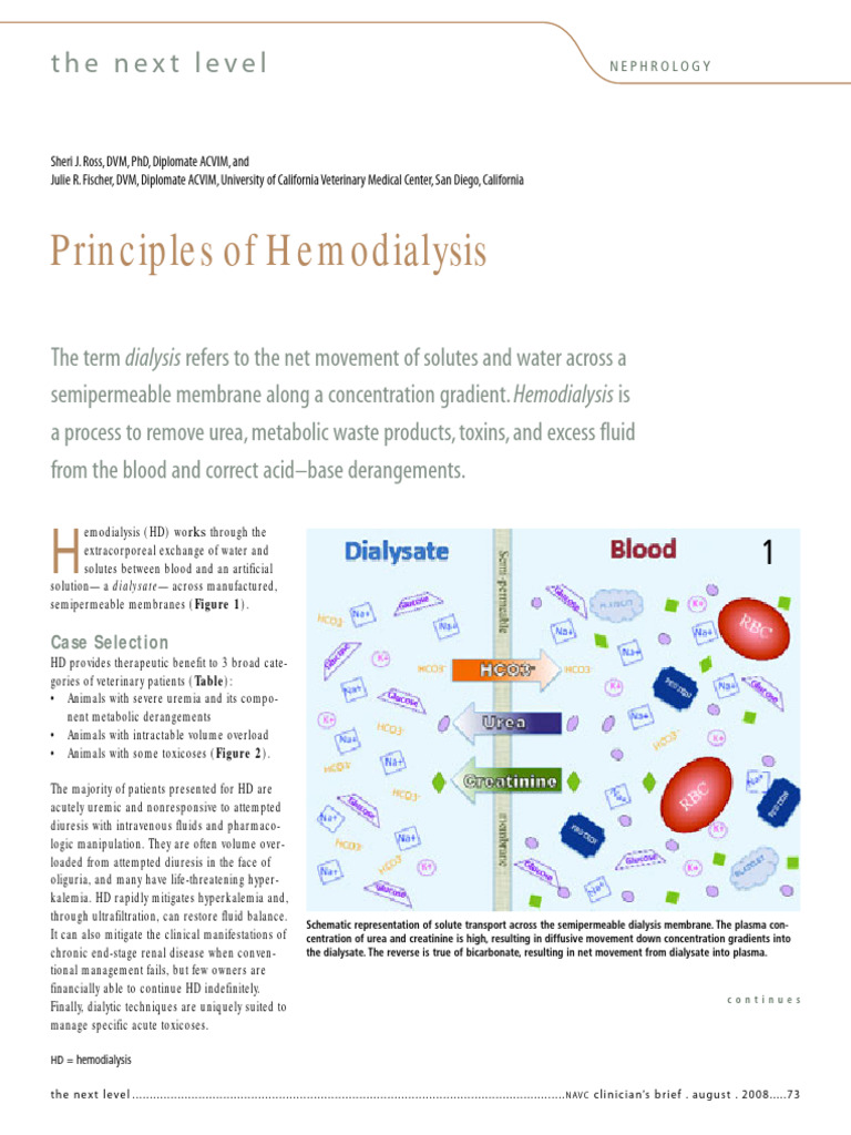 Hemodialysis in Veterinary Medicine | PDF | Hemodialysis | Organ (Anatomy)