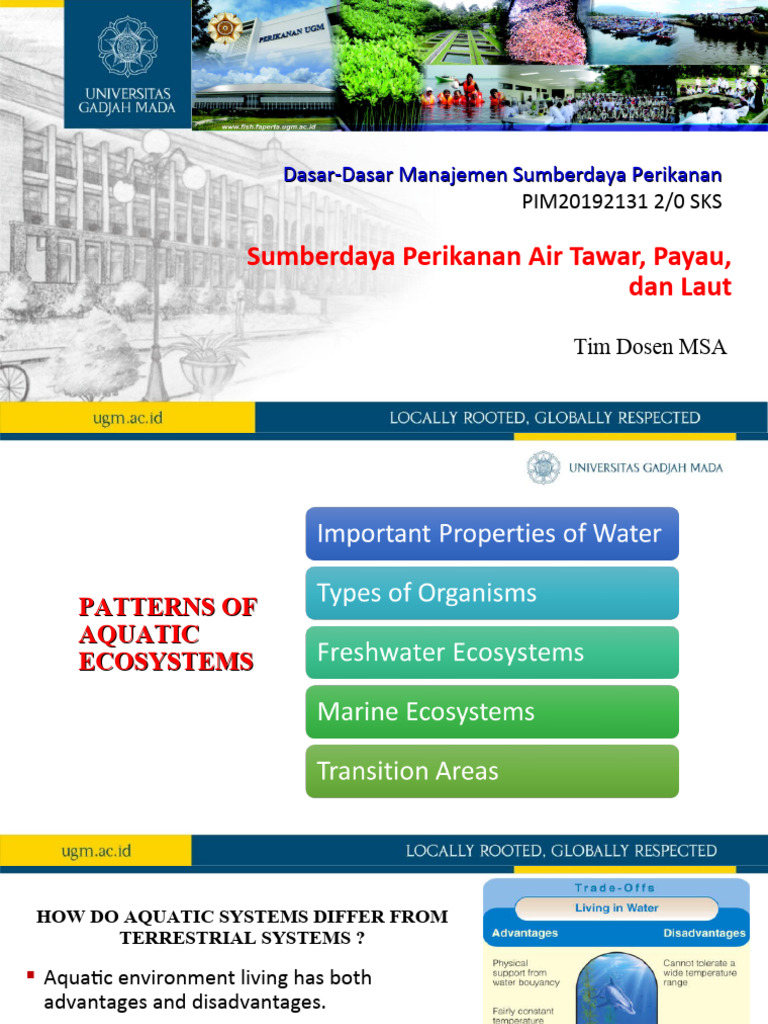 2022 03 DMSD SD Perairan | PDF | Estuary | Plankton
