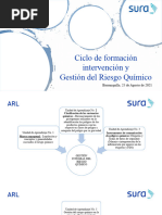 Reactivos Químicos y Sus Pictogramas | PDF | Combustión | Química