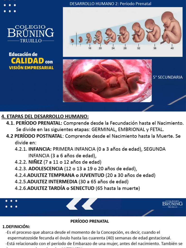 Desarrollo Humano 2-Prenatal IV B 2023 | PDF | Desarrollo prenatal | Embrión