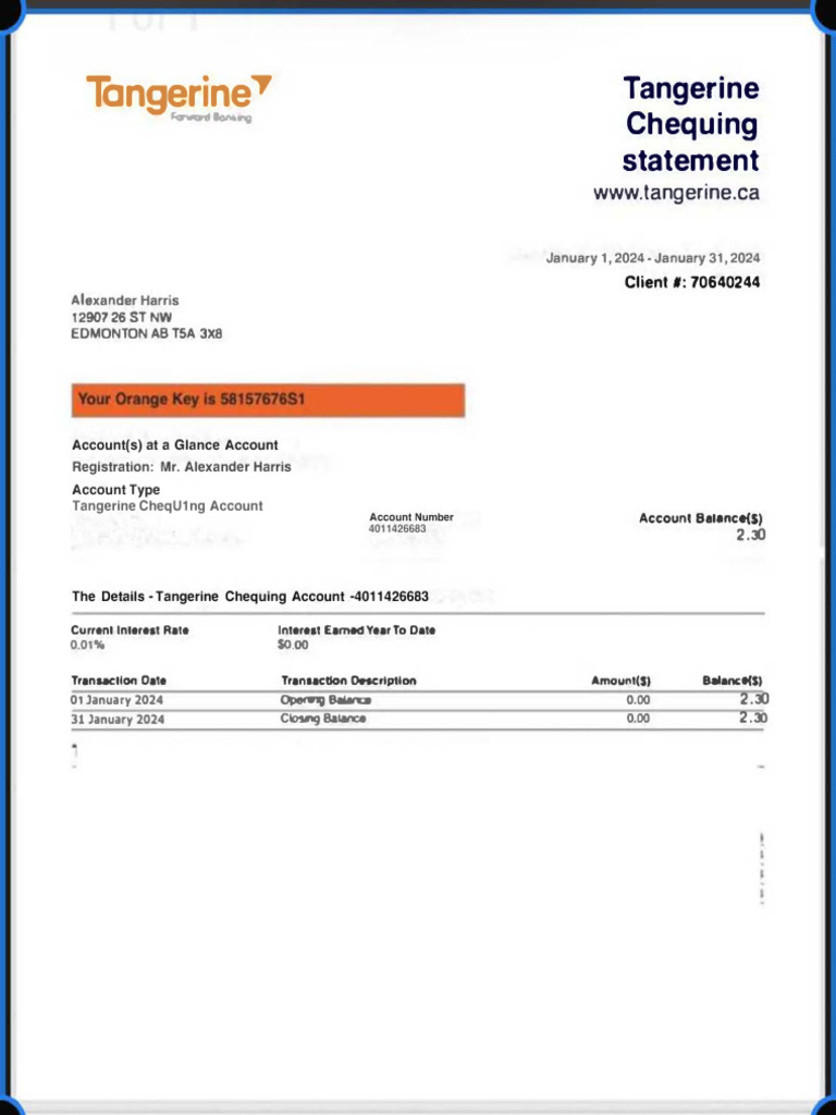 Tangerine Chequing Account Summary | PDF