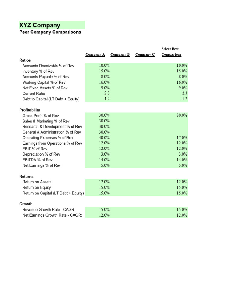 Peer Company Comparison For Startups | PDF | Net Income | Equity (Finance)