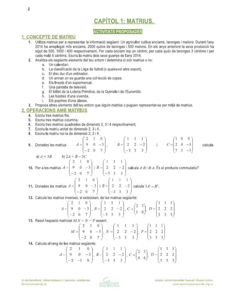 Exercicis Matrius | PDF