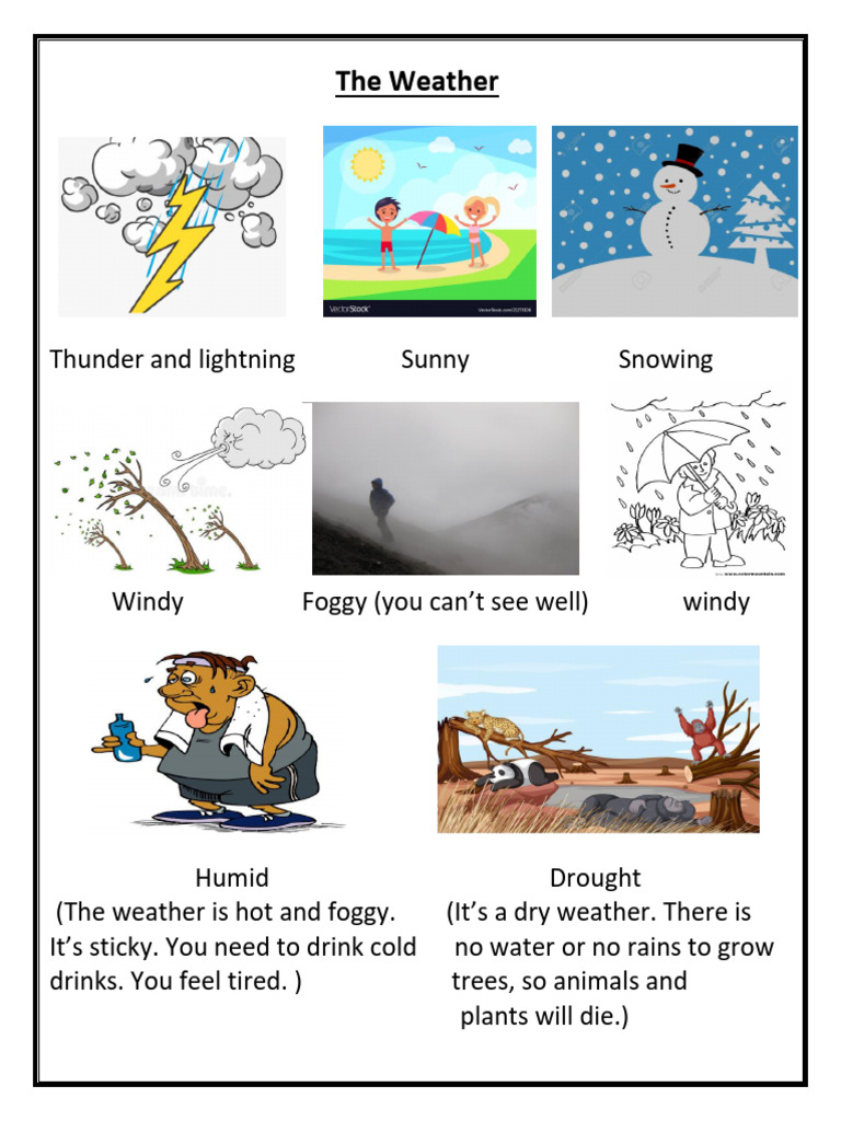 The Weather | PDF