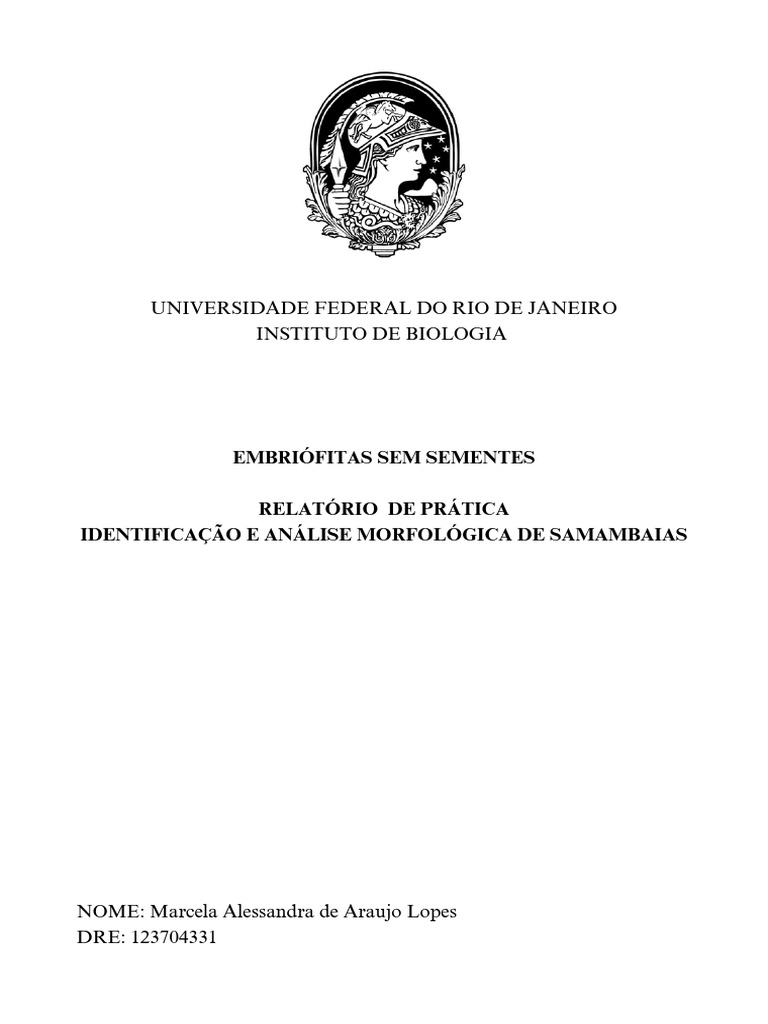 RELATÓRIO DE PRÁTICA - Marcela Alessandra de Araujo Lopes (Diurno ...