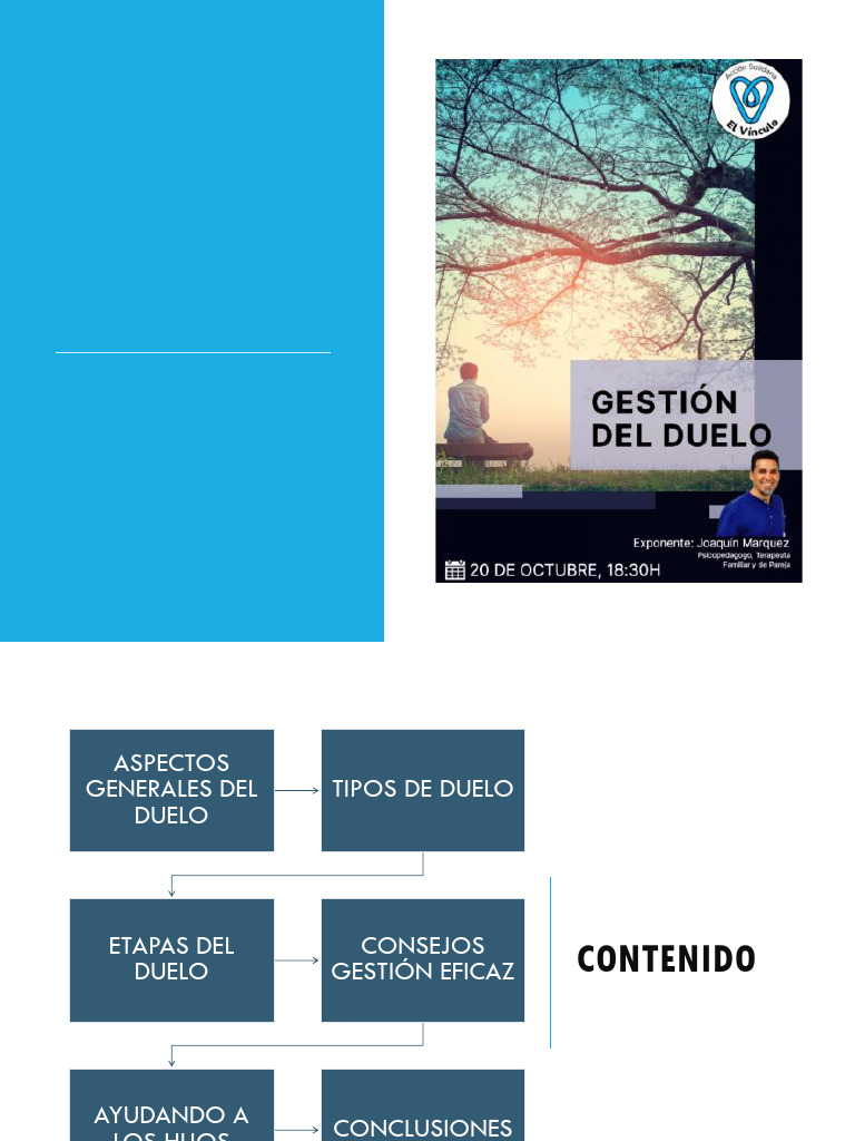 Gestión Del Duelo | PDF | Dolor | Las emociones