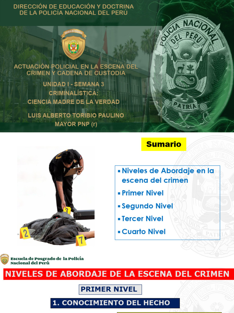 DIPOT - Semana 3 | PDF | Policía