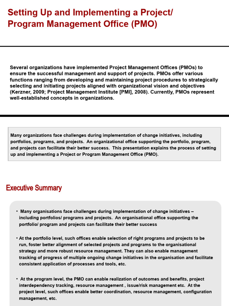 (Flevy - Com - 1347) Setting Up & Implementing A Project Management ...