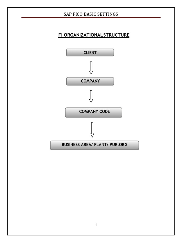 SAP FICO Basic Settings | PDF | Window (Computing) | Balance Sheet
