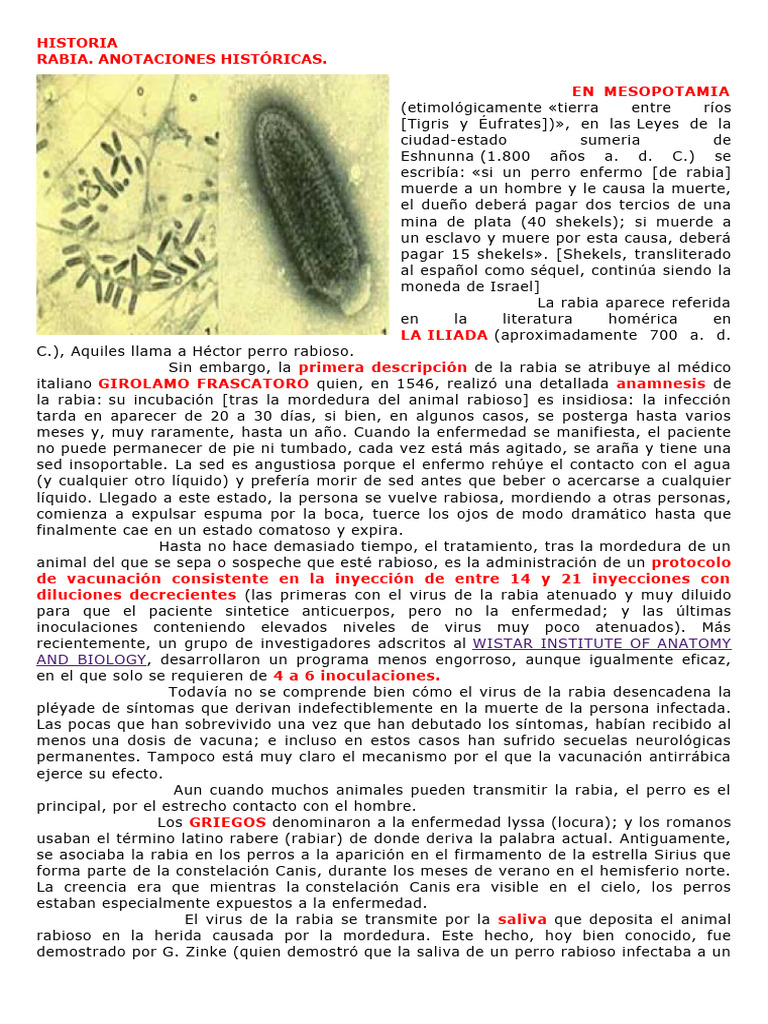 La Rabia en La Antiguedad | PDF | Rabia | Virus