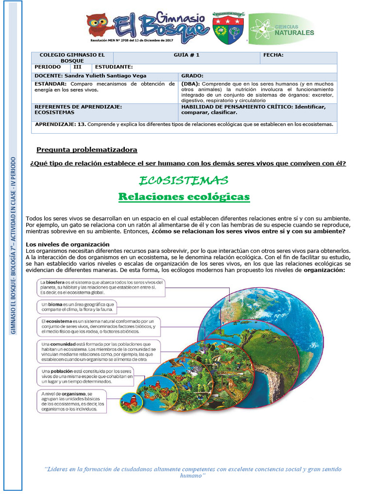7° - Guía Relaciones Ecologicas | PDF | Ecología | Biología