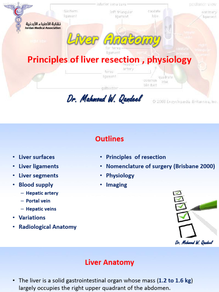 Liver Anatomy: Principles of Liver Resection, Physiology | PDF | Liver ...