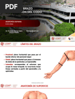 A34 Compartimentos Musculares Del Brazo y Antebrazo DR Daniel Lopez ...