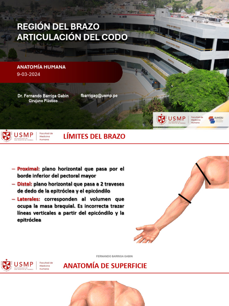 3 Brazo Y Codo Pdf Extremidades Anatomía Anatomía Humana