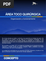 Tococirugia, Actividades Que Se Realizan en Esa Area | PDF | Parto ...